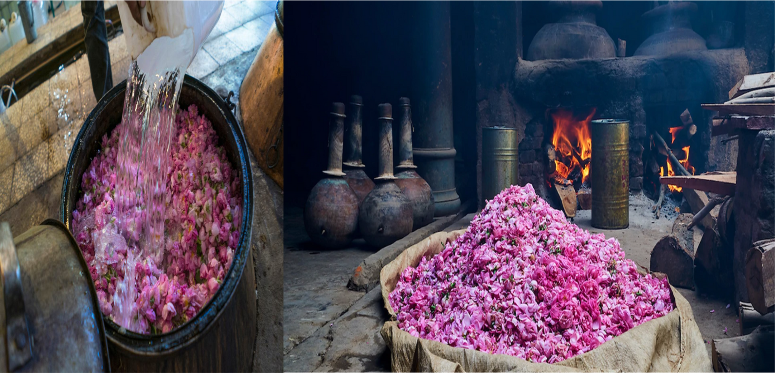 FLORAL WATERS HYDROSOL – sugandhkart